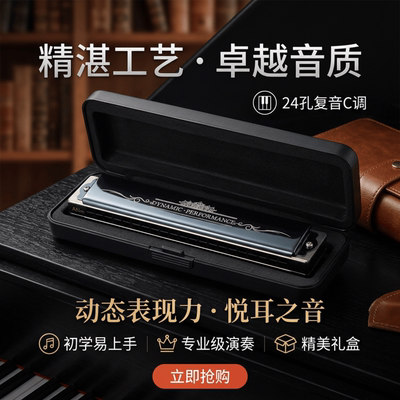 天鹅24孔2409H复音口琴自然小调