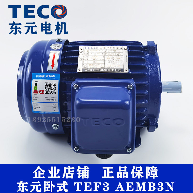 TECO Dongyuan Motor IE3 Horizontal TEF3 AEMB3N 0 75KW 1 5KW 2 2KW 3 7KW ...