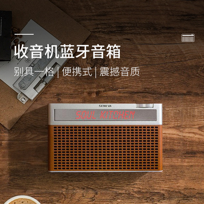 Geneva户外便携蓝牙音响收音机