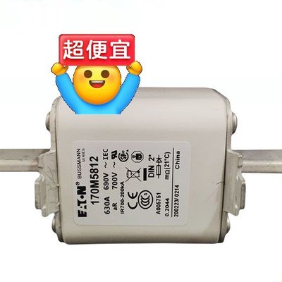 熔断器保险管170M6338 170M6339 170M63