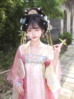 春日小唐风齐胸襦裙披帛套装