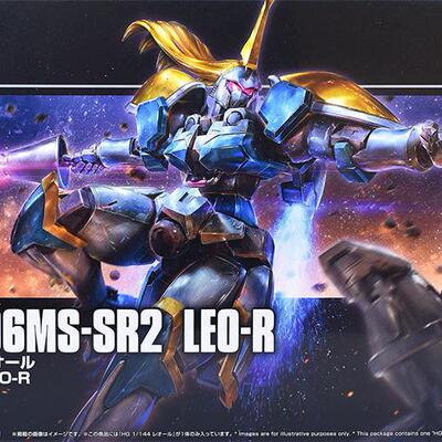 网限拼装模型里奥-R