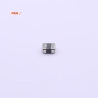 SLM20161R0MIT -[原装功率0806