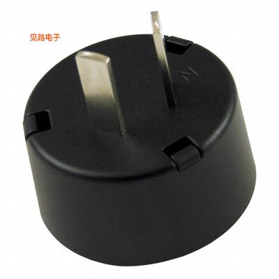 FPN -[全新INPUT PLUG ARGENTINA FOR F ADAPT]
