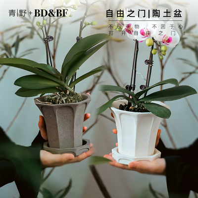 青野陶瓷粗陶土盆自由之门法式小花盆含托盘高级感多肉家用室内