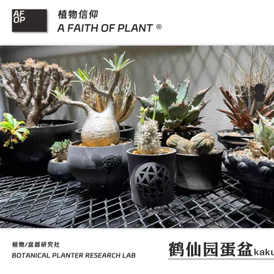 168潮流块根植物龙舌兰龟甲龙鹤仙园SRL陶瓷手工花盆NEIGHBORHOOD