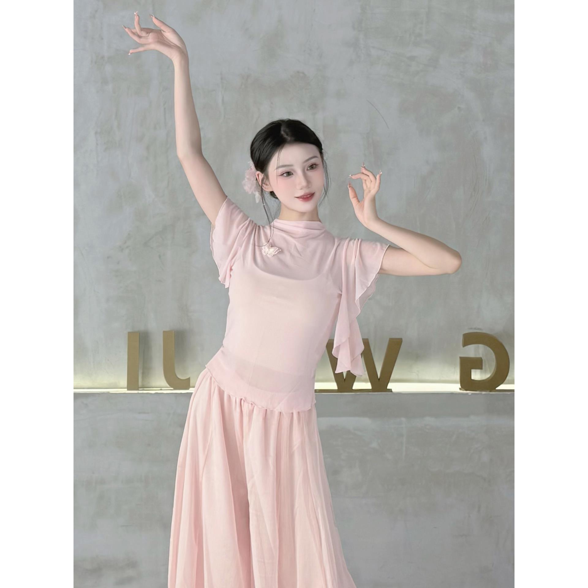 形体成人古典舞舞网纱身韵练功服女演出服中国飘逸纱衣小飞袖粉色