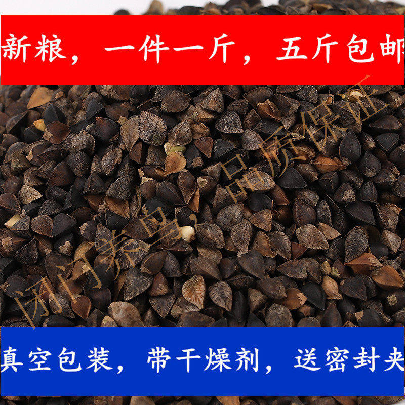 荞麦中大鹦鹉鸟粮鸽粮原荞麦带壳荞麦500克五斤包邮无公害鸟粮