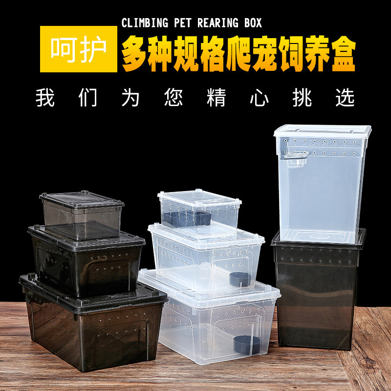 爬宠饲养盒宠物饲养盒角蛙饲养盒蜘蛛盒子守宫蜥蜴饲养盒保温盒子