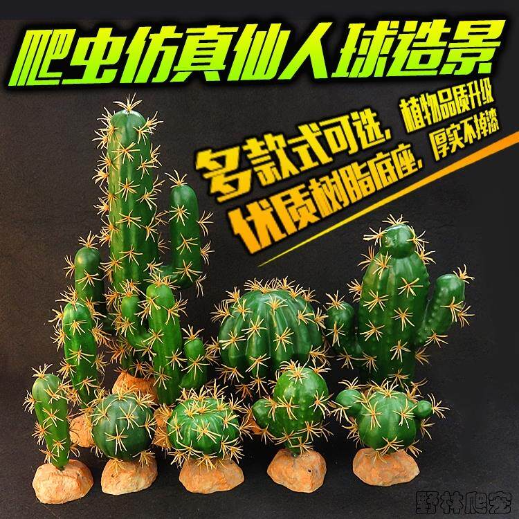 爬虫饲养箱造景彷真植物沙漠蜥蜴造景雨林缸爬宠箱造景仙人掌生态