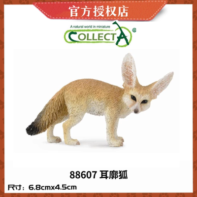英国CollectA我你他仿真野生动物模型玩具88607 耳廓狐