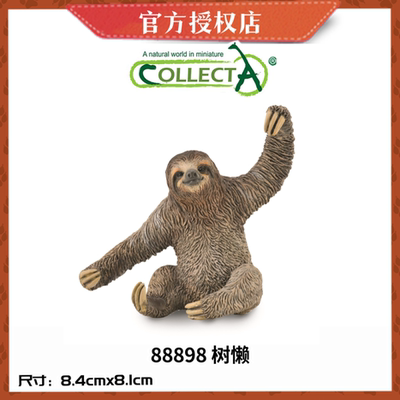 英国CollectA我你他仿真野生动物模型玩具88898 树懒