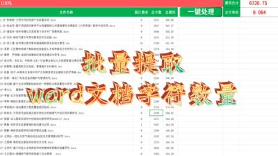 wpsVBA定制批量统计Word文档字数页码图片信息数量工具ExcelVBA