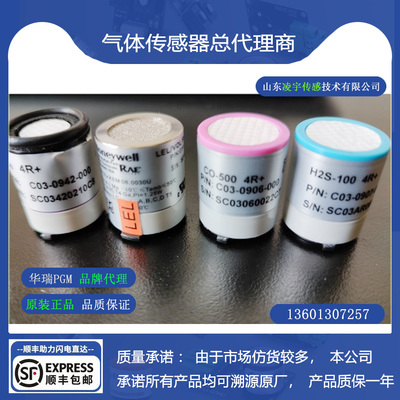 PGM-6208/6228华瑞检测仪