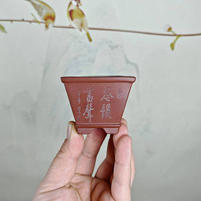 【琴韵方斗】宜兴紫砂手工菖蒲假山苔藓盆景拇指盆 张可磊