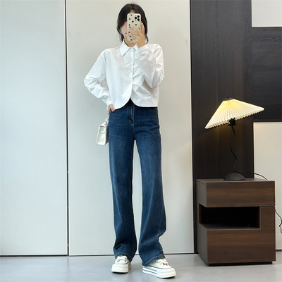 惠衣阁初秋女长袖衬衫短款衬衫韩版宽松休闲减龄白色衬衣短款上衣