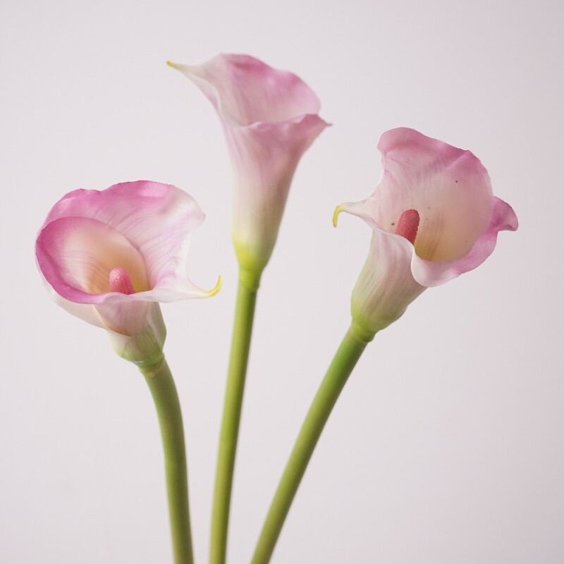 高品质仿真喇叭马蹄莲假花仿真植物居家摆设花艺装饰摄影道具花材