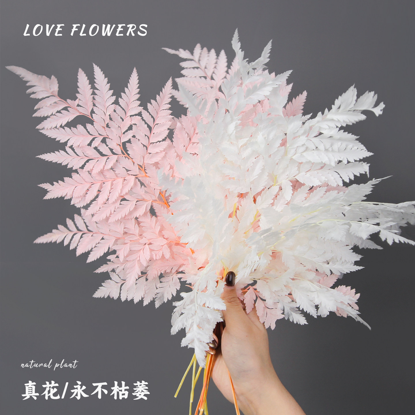 花中情 永生花高山羊齿蕨叶花束配草装饰干花叶保鲜花diy花艺材料
