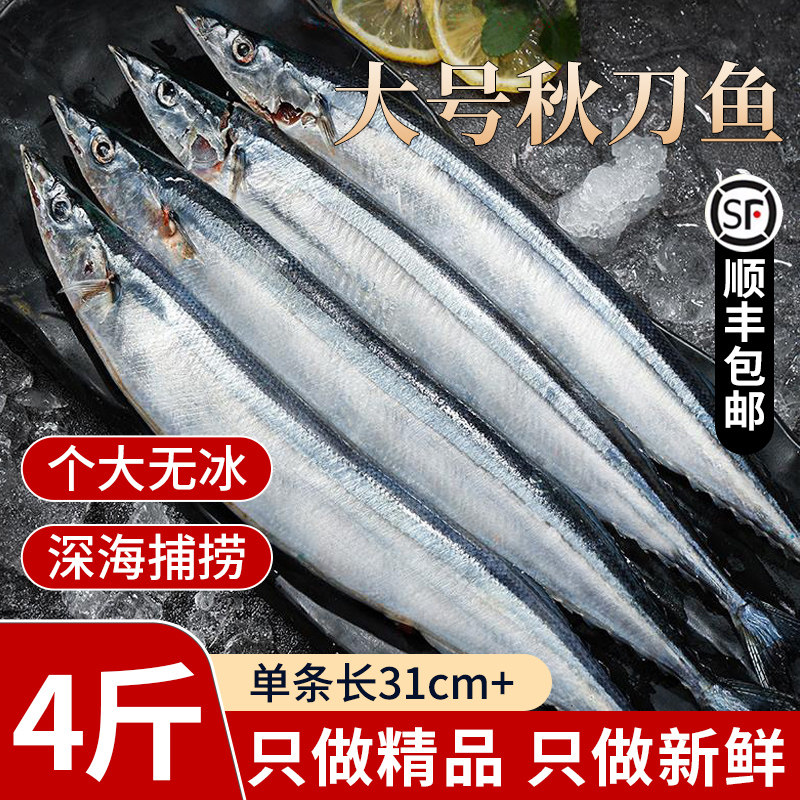 秋刀鱼新鲜海捕船冻商用烧烤超大特大号秋刀鱼水产4斤装