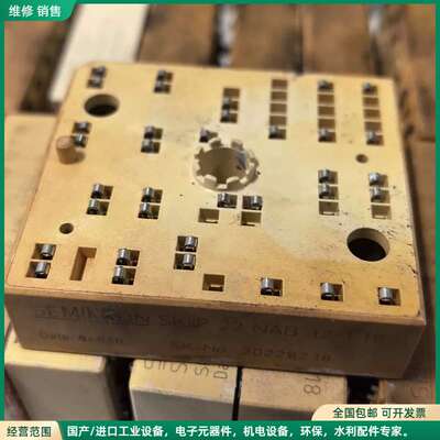 可维修SKIIP22NAB12T19