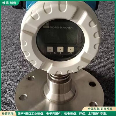 可维修Endress + Hauser Levelflex M F