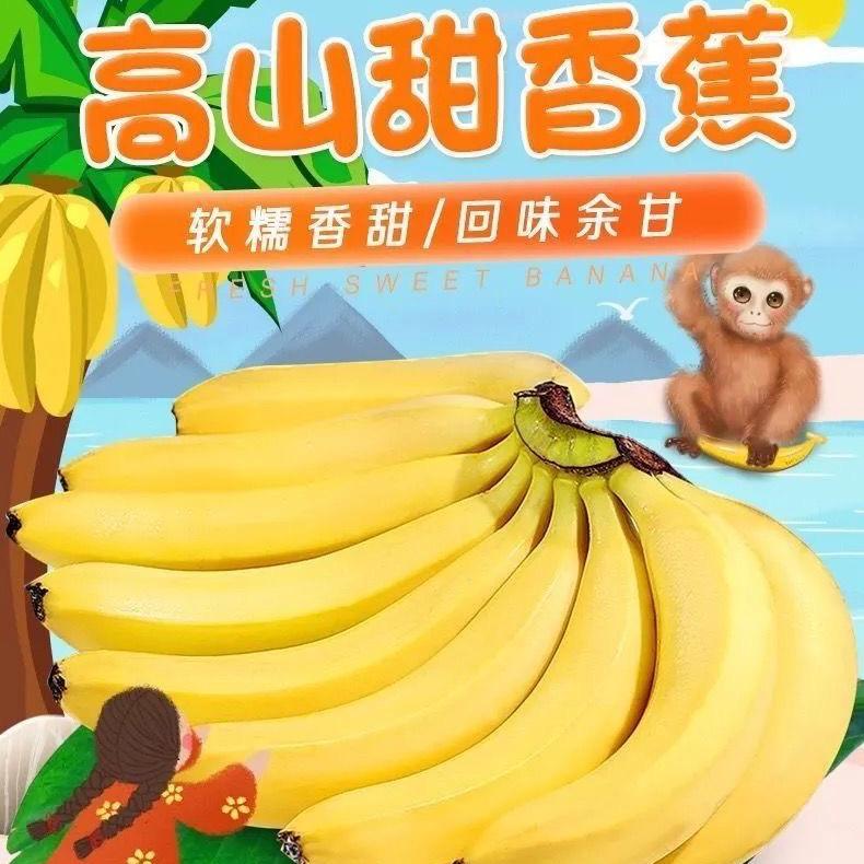 广西农家种植新鲜香蕉新鲜水果当季香甜自然熟香蕉