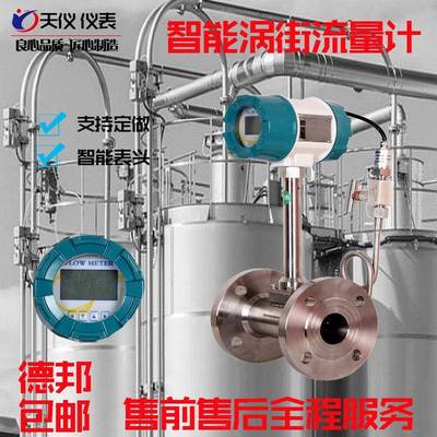 流量仪表DN125-DN200智能高精度蒸汽涡街流量表计量式空气流量计