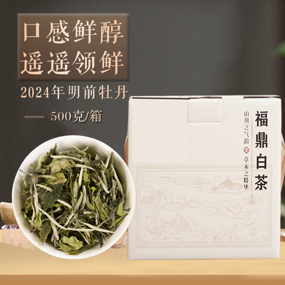 2024年花香白牡丹管阳西昆福建福鼎白茶散茶茶叶一芽二三叶茶味足