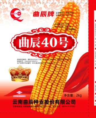 曲辰40号 云、贵、川中高海拔玉米种子  2公斤/袋