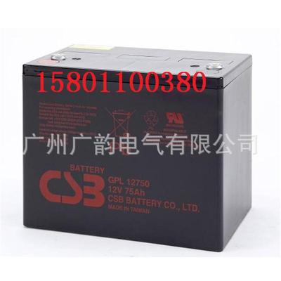 希世比CSB蓄电池GPL121000 CSB12V100AH 铅酸免维护系列厂销