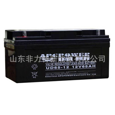 APCPOWER蓄电池 UD65-12 电池12V65AH 太阳能 船舶 UPS电源
