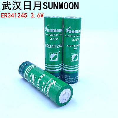 武汉日月ER341245  3.6V PGS长效 钻探棒3.6V锂电池流量计量表DD