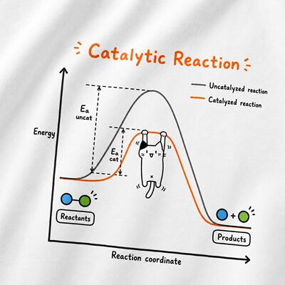 Catalytic Reaction小猫咪抛物线科学印花短袖T恤趣味教育男女款