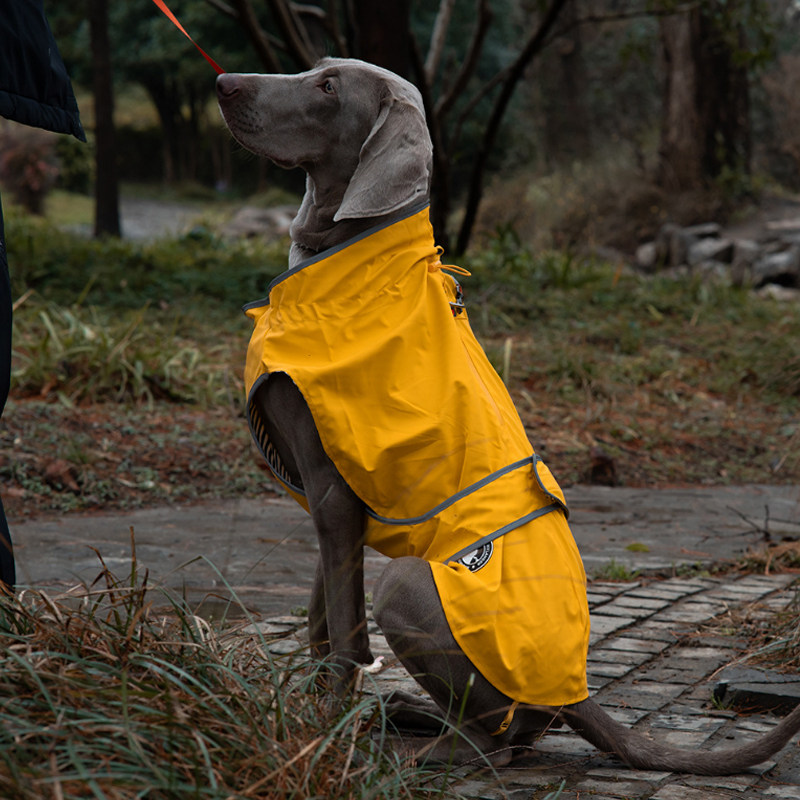 宠物雨衣 狗狗冲锋衣边牧魏玛犬大中小型犬户外防水防风雨披