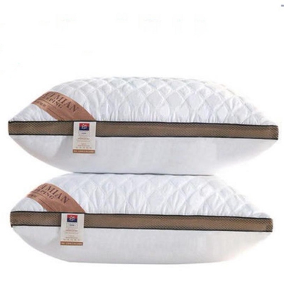 一对酒店成人家用双人清仓特价枕头套枕芯 2pcs set bed pillow