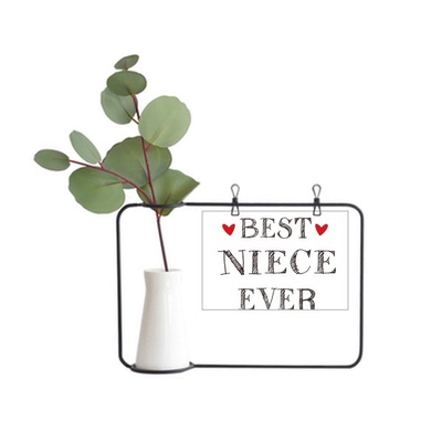 很好的侄女摘引爱心金属相框陶瓷花瓶装饰