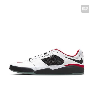 Nike SB Ishod 
