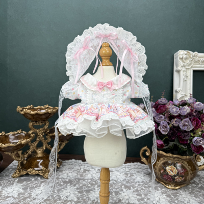 DANI高定手工娃衣定制玩偶公主裙