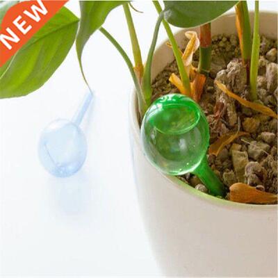 Practcal Travel House Plant Bulb S Garden Pot Cans