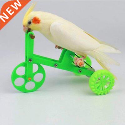 Funny Parrot Bike Toy Birds Training Plaything Educational I