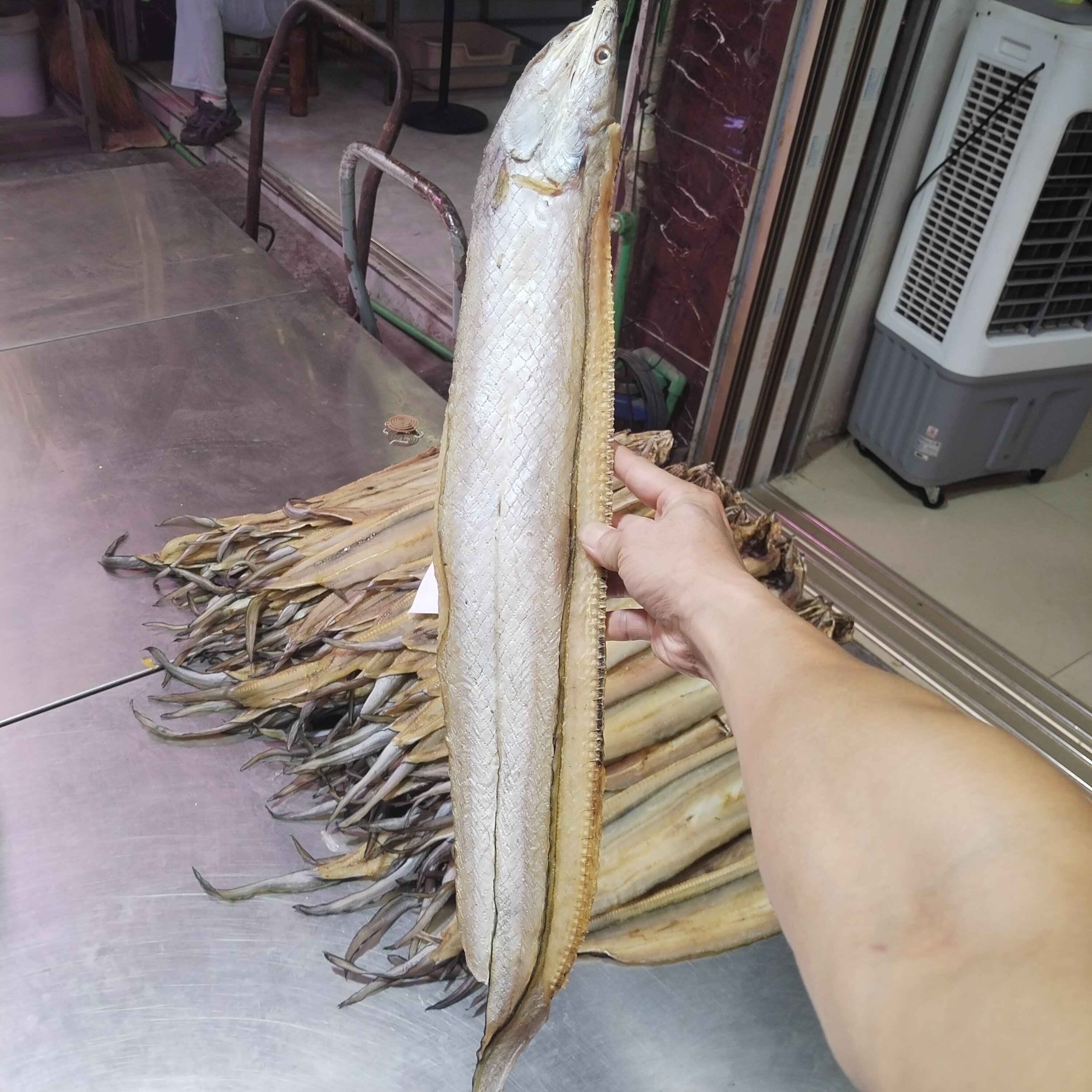 温州瑞安东山水产城鳗鱼干宁波鳗鱼