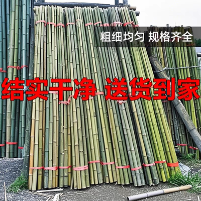 竹竿菜园搭架蔬菜篱笆栅栏支撑架