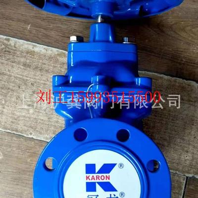 上海冠龙机械阀门 软密封闸阀 RVHX-10/16暗杆DN200 300 400 500