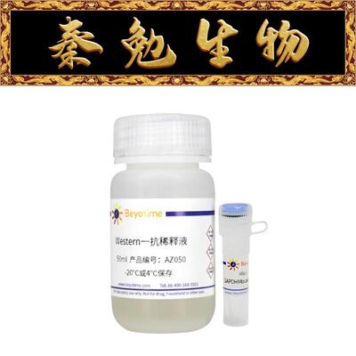GAPDHMouseMonoclonalAntibody