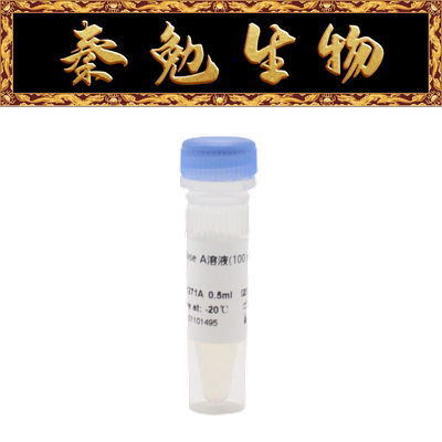 BiosharpRNaseA溶液BL1271A