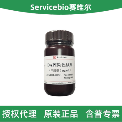 赛维尔DAPI染色试剂（即用型）