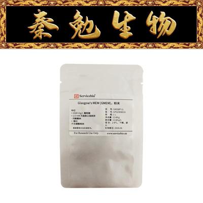 Glasgow'sMEM(GMEM)赛维尔