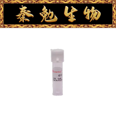 索莱宝通用引物ITS2PC2472