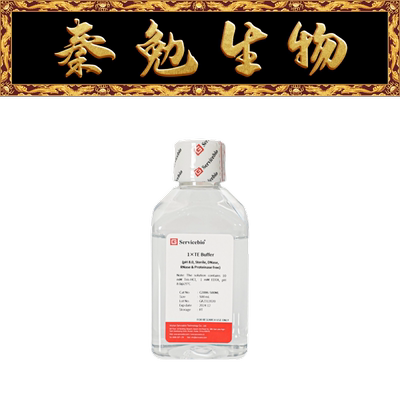 赛维尔1×TEBufferG3006-500ML