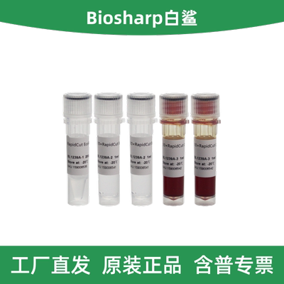 Biosharp白鲨RapidCutEcoRV